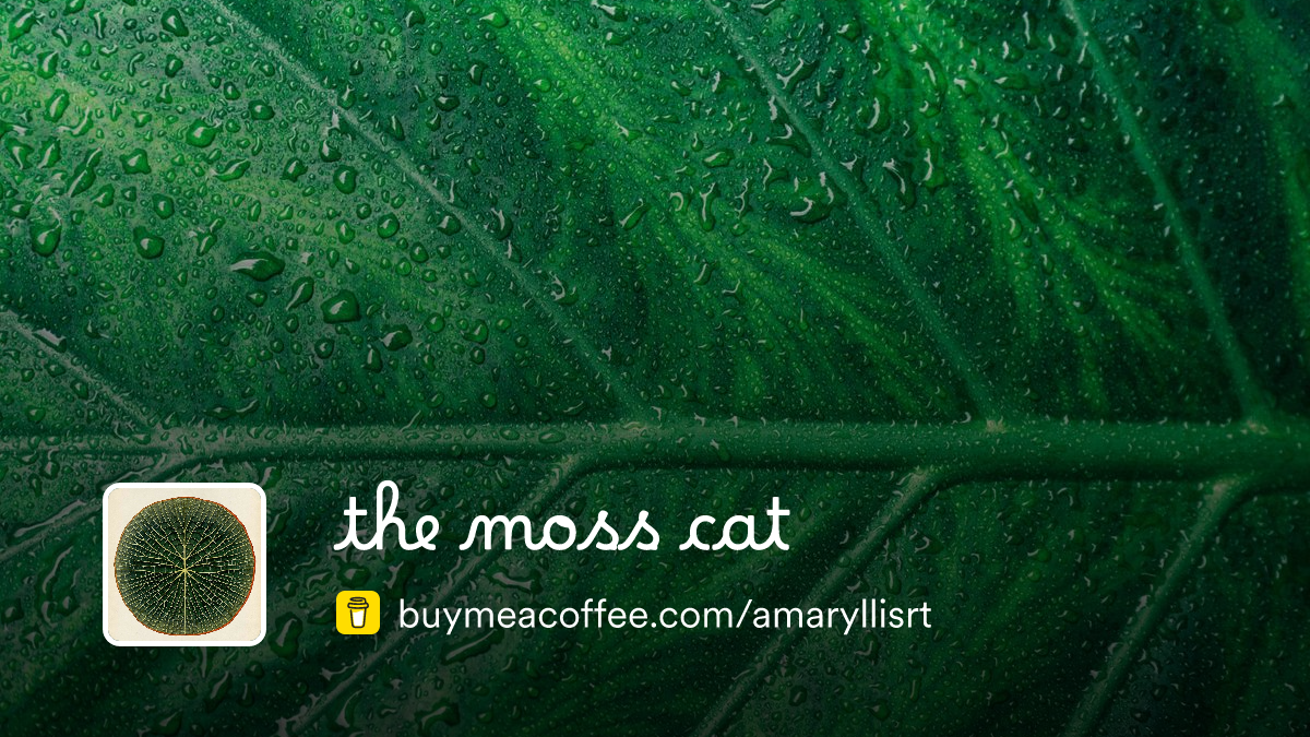 the moss cat is asleep - Buymeacoffee