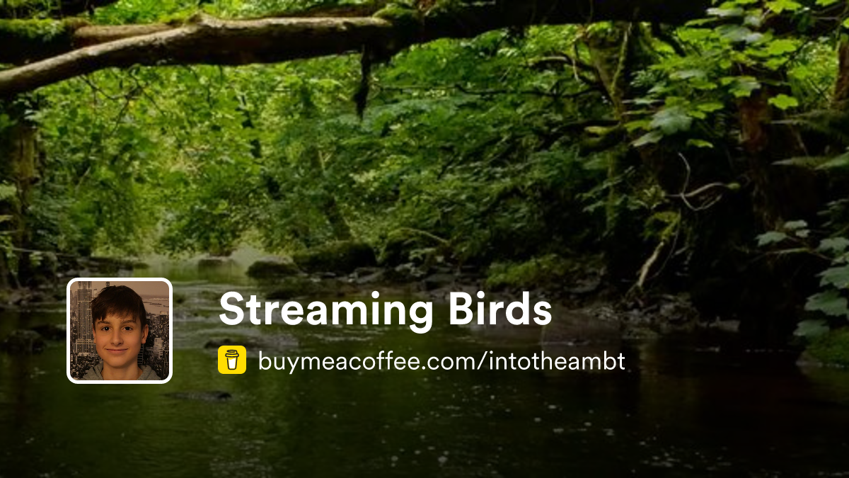 Streaming Birds is Nature videos and sounds - Buymeacoffee