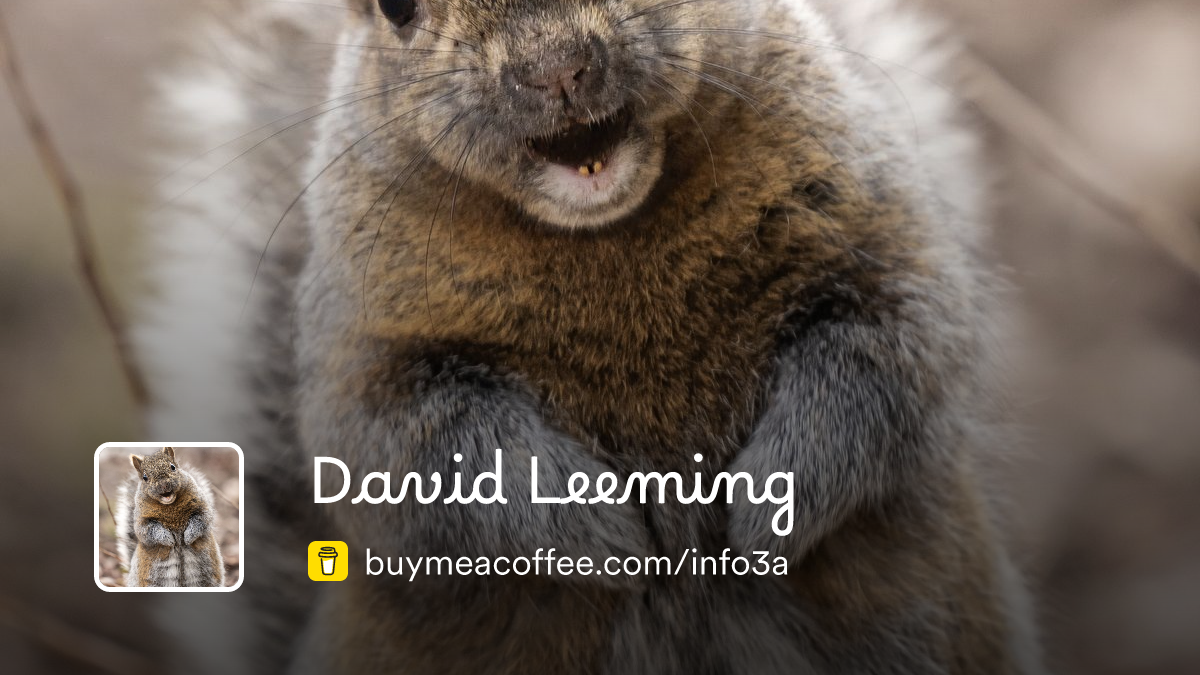 David Leeming is a photographer - Buymeacoffee