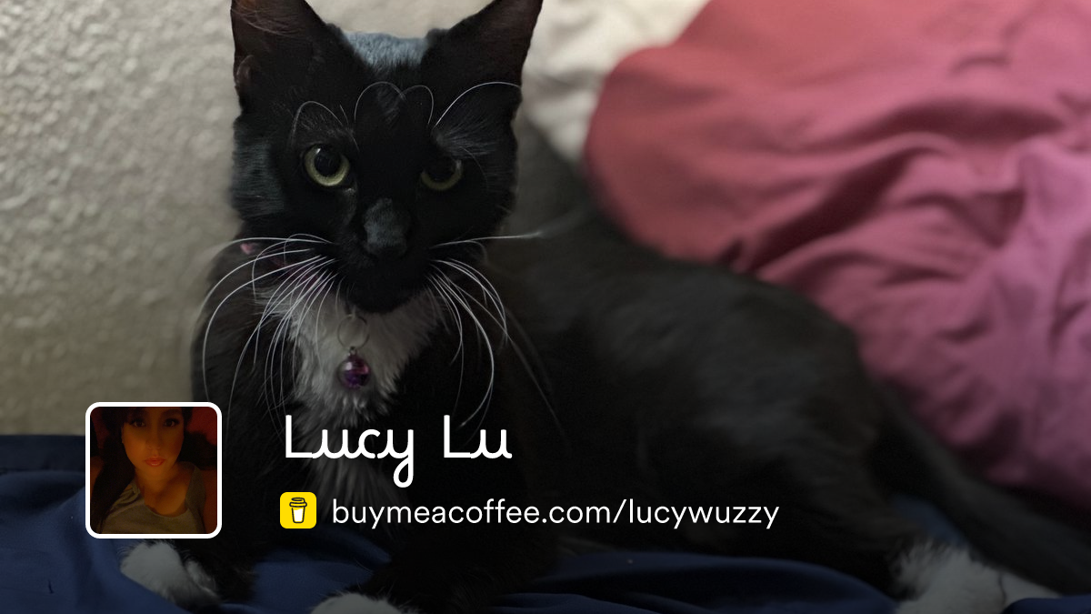Lucy Lu is Creating Friendships 😙 - Buymeacoffee