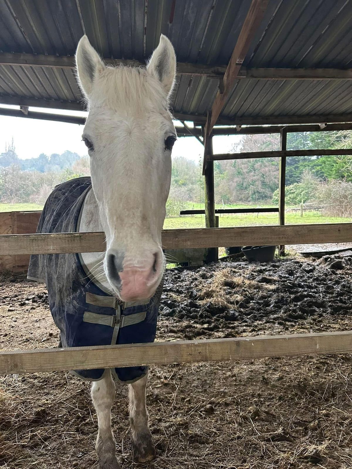 COMPLEX BEHAVIOUR SUPPORT... How does it work — Jessie - Buymeacoffee