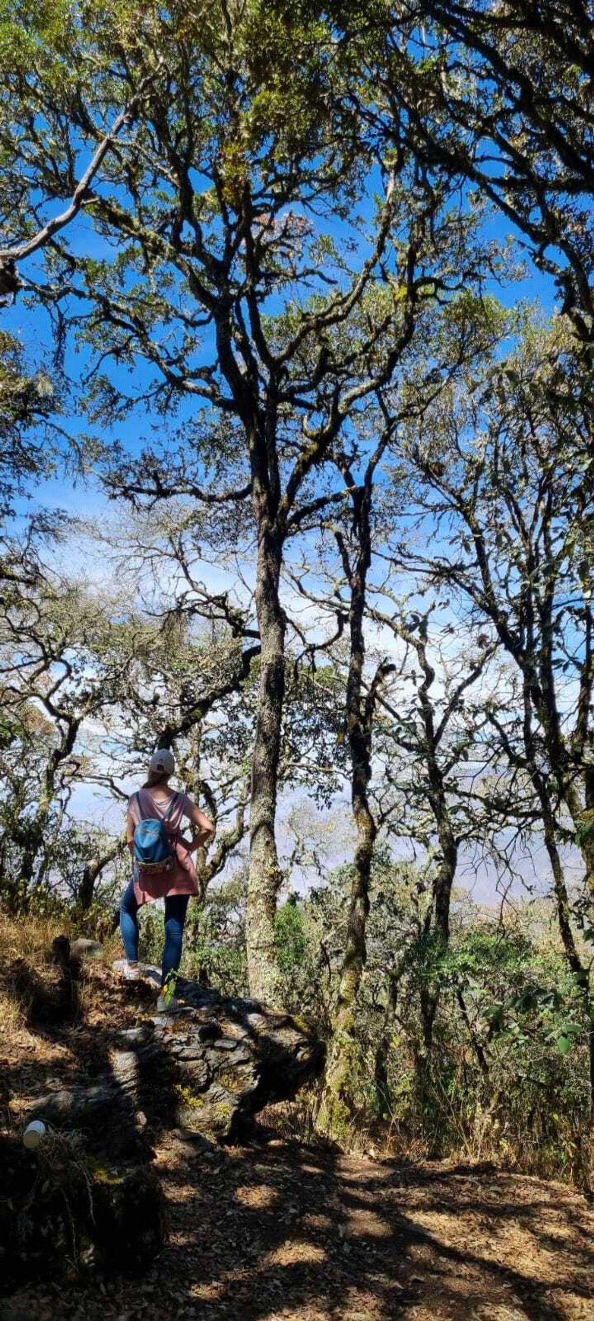 Family Day Trip: Peña de Bernal & San Joaquin, Querétaro — Laura Hay ...