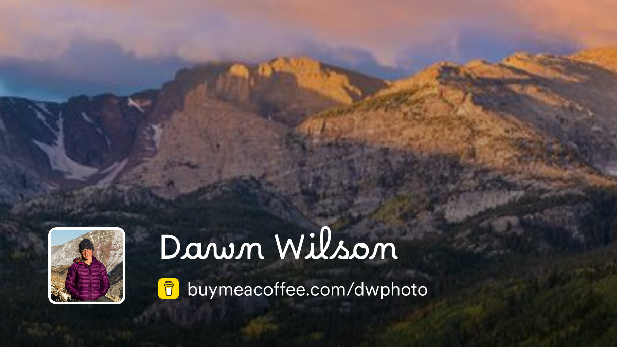Dawn Wilson is Stunning nature photos of wildlife & landscapes of the ...