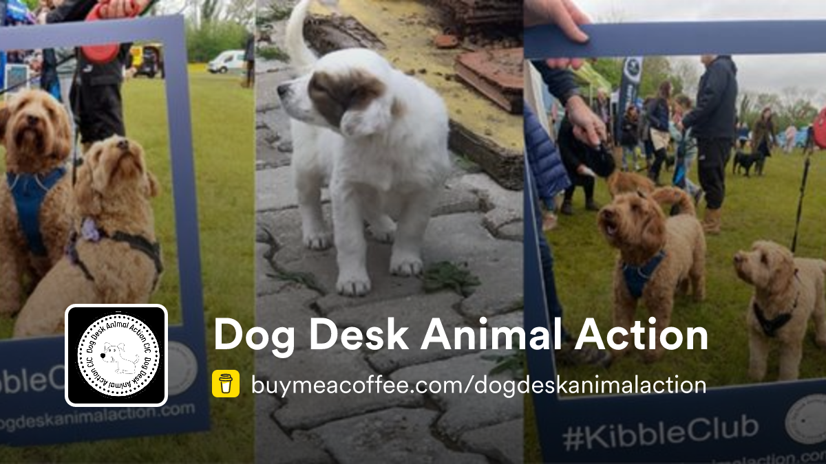 Dog Desk Animal Action is Blogging, writing, broadcasting & podcasting ...