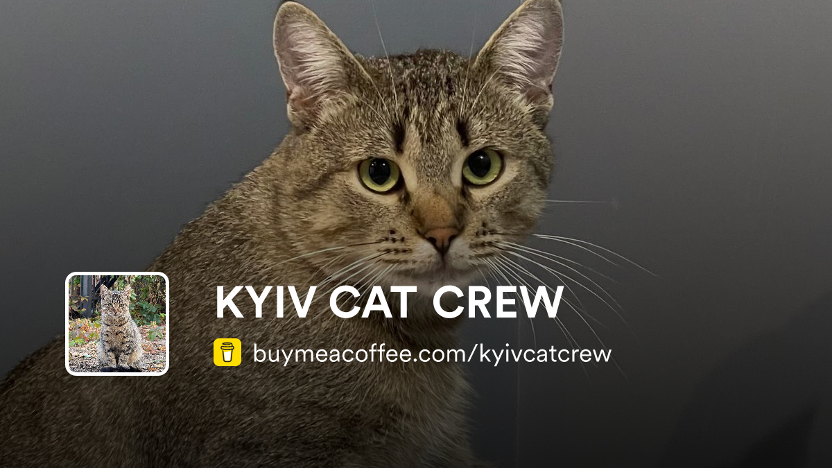 KYIV CAT CREW is We sterilize, rescue, heel, finding families, feed ...