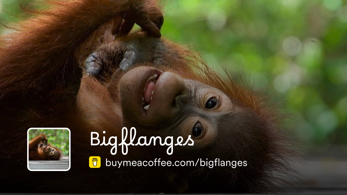 Bigflanges is posting happy ape love memes - Buymeacoffee