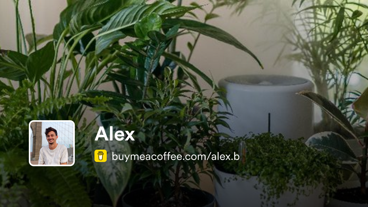 Alex - Buymeacoffee