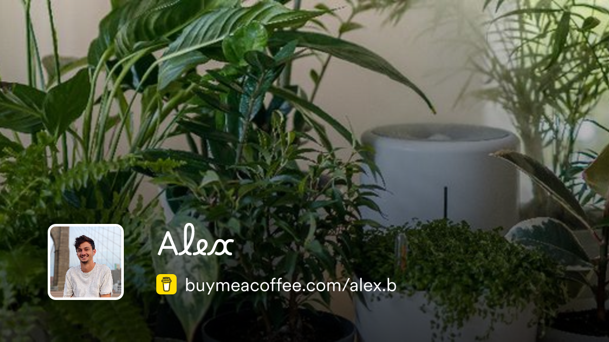 Alex - Buymeacoffee
