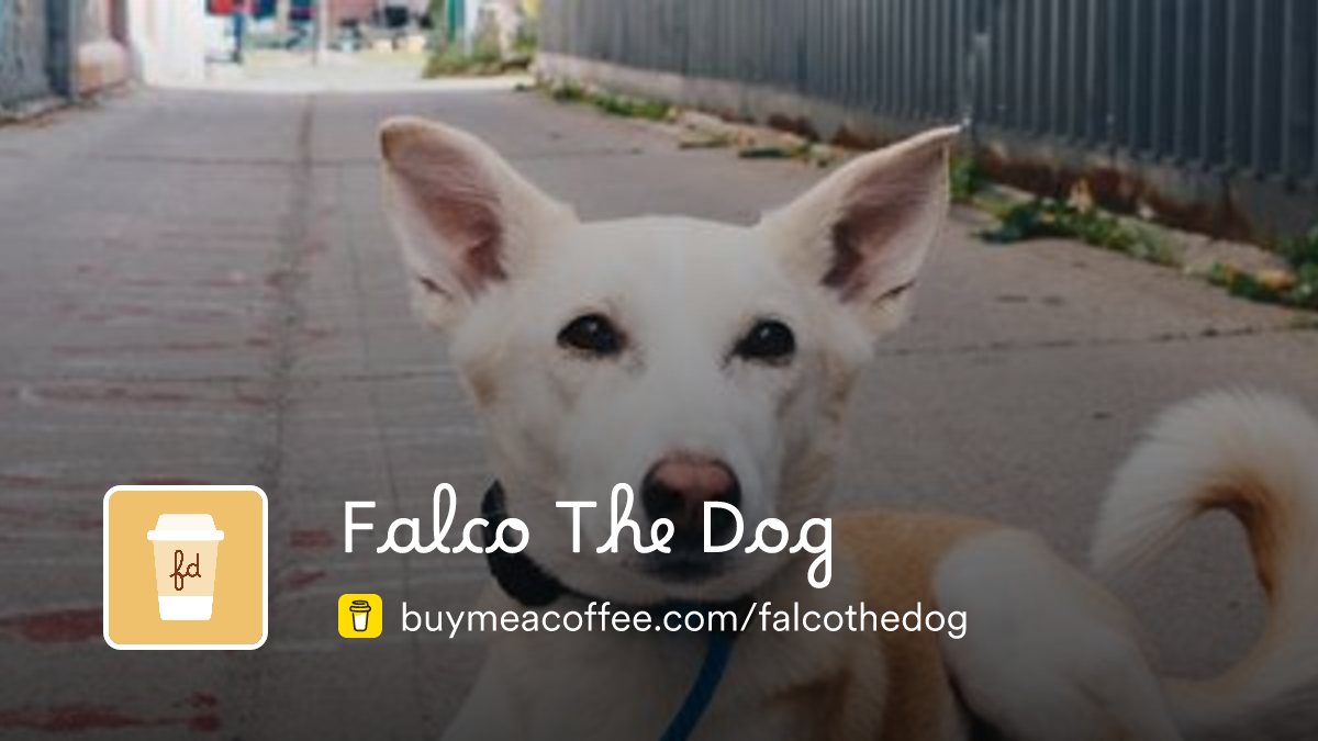 Falco The Dog is creating balanced dog training content with a focus on ...