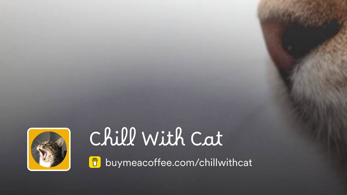 Chill With Cat is Music | Lofi | Beats | Relax | Calm | Chill | Study | Sleep - Buymeacoffee