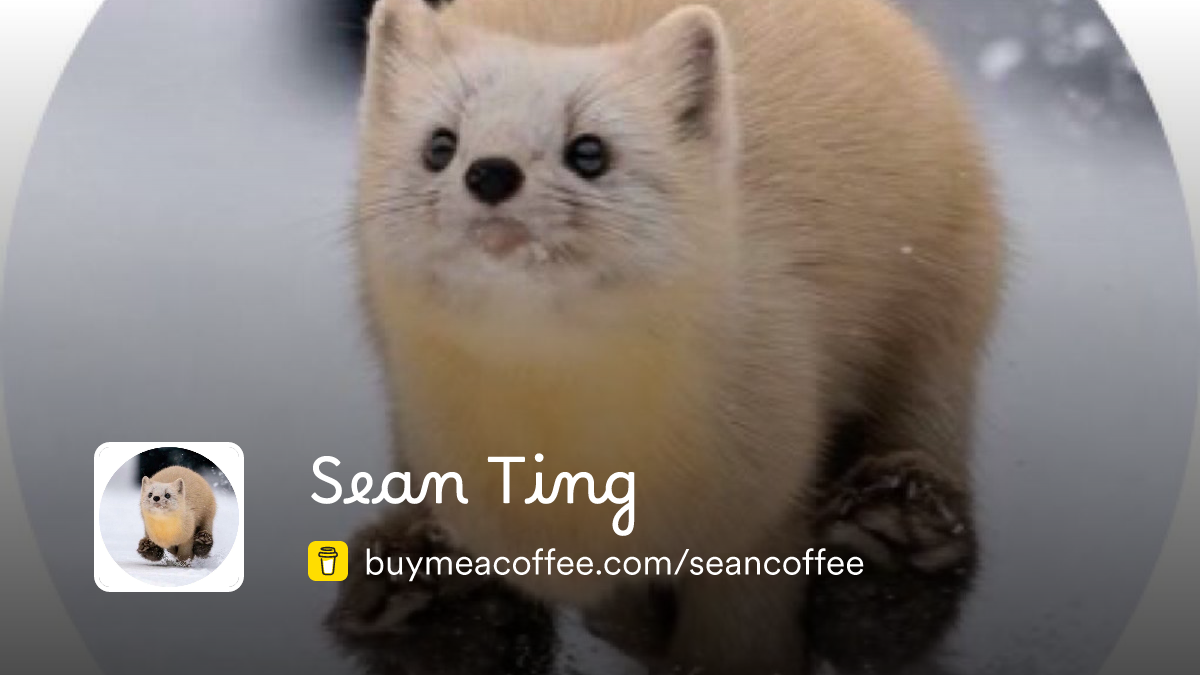 Sean Ting - Buymeacoffee