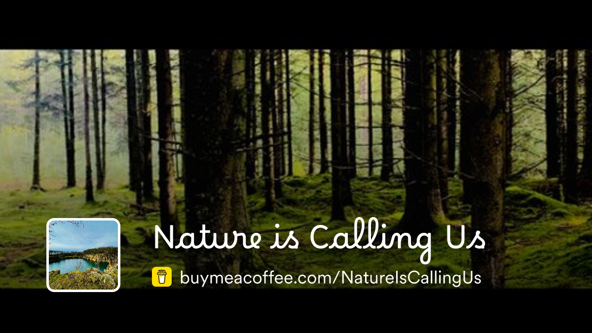 Nature is Calling Us is Relaxing videos, Nature videos, Campfire ...