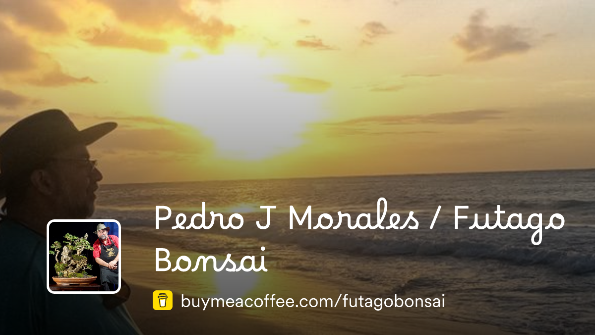 Pedro J Morales / Futago Bonsai - Buymeacoffee