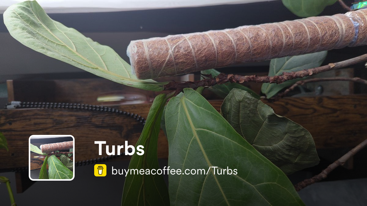 Turbs - Buymeacoffee