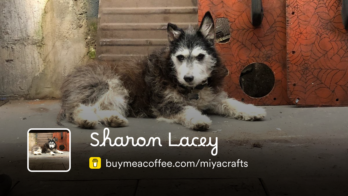 Sharon Lacey - Buymeacoffee