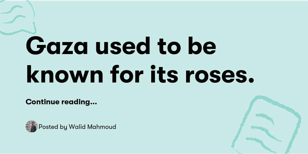 Gaza used to be known for its roses. 🌹 — Walid Mahmoud - Buymeacoffee