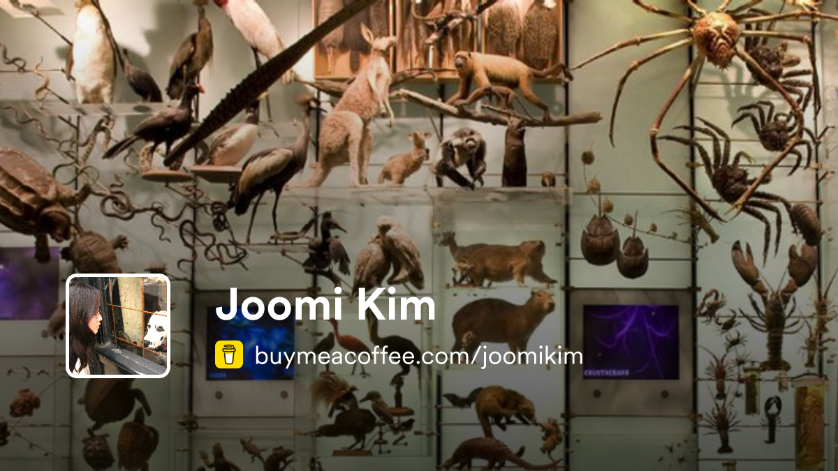 Joomi Kim - Buymeacoffee