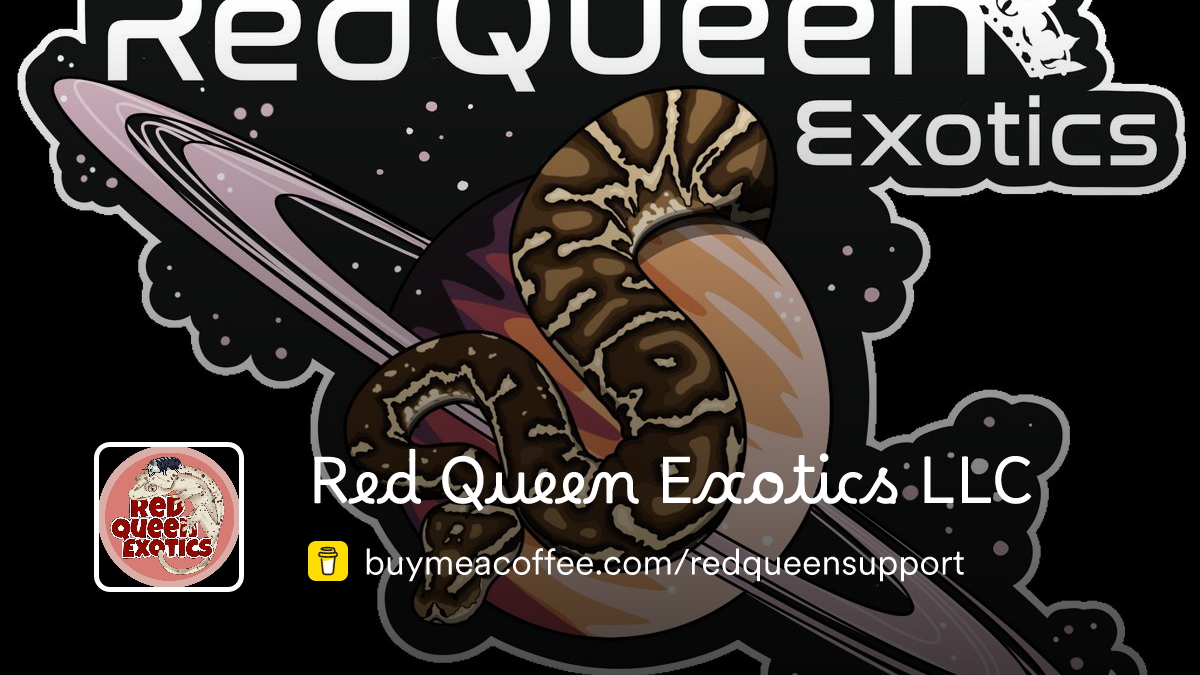 Red Queen Exotics LLC - Buymeacoffee