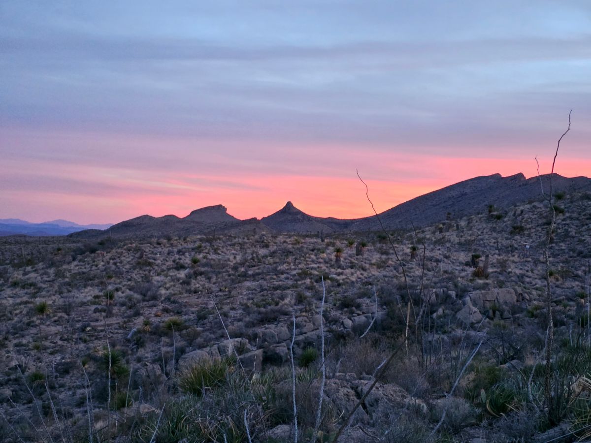 The Timeline Ranch — Timeline Ranch - Buymeacoffee