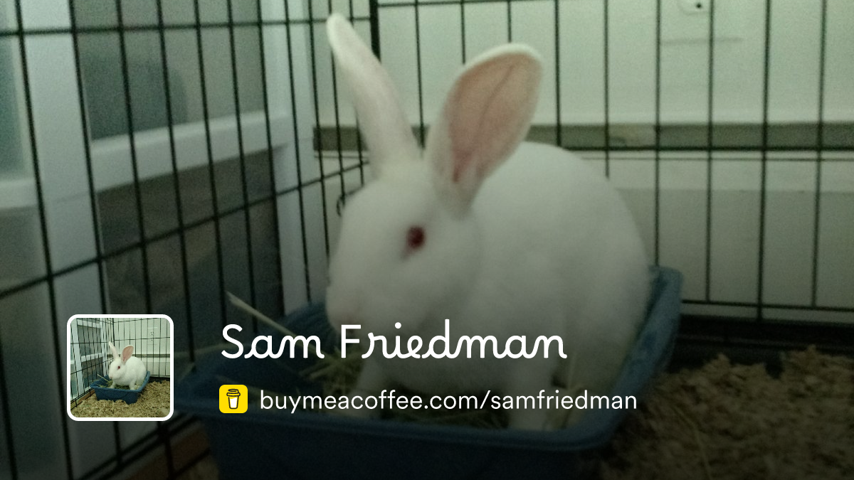 Sam Friedman - Buymeacoffee