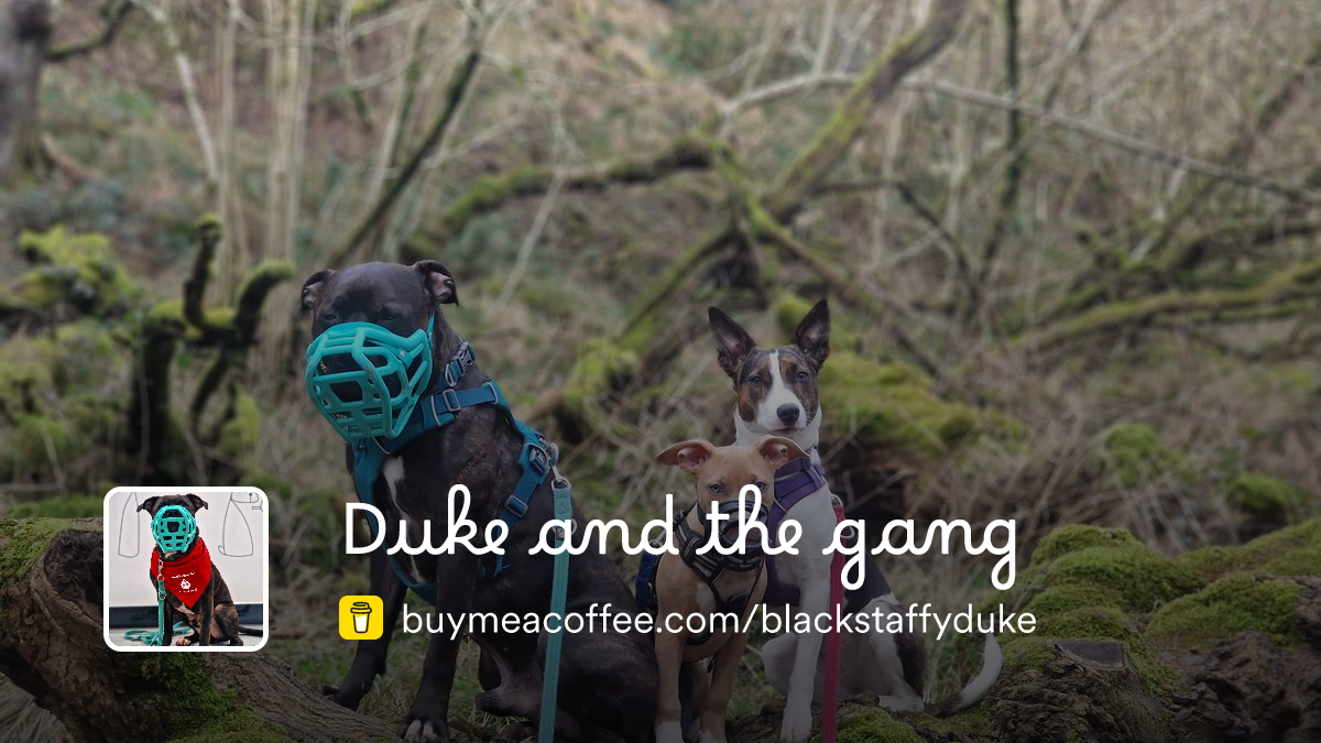 Duke and the gang - Buymeacoffee