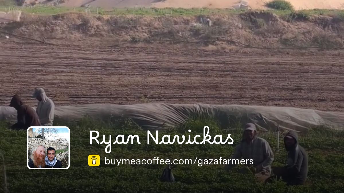 Gallery | Ryan Navickas - Buymeacoffee