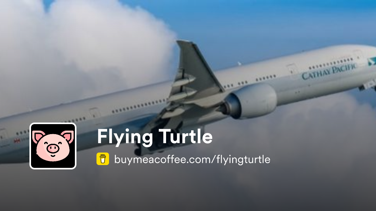 Flying Turtle - Buymeacoffee