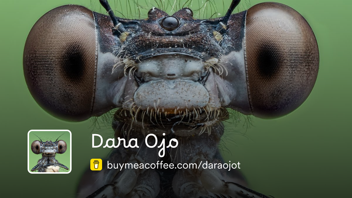 Dara Ojo - Buymeacoffee