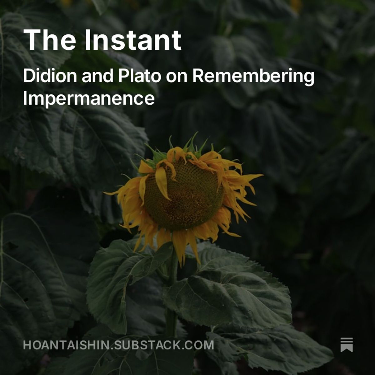 The Instant — Hōan Taishin Michael Augustin - Buymeacoffee