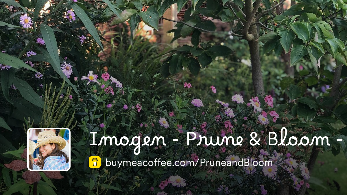 Imogen - Prune & Bloom - is Sharing my love of plants and gardening ...