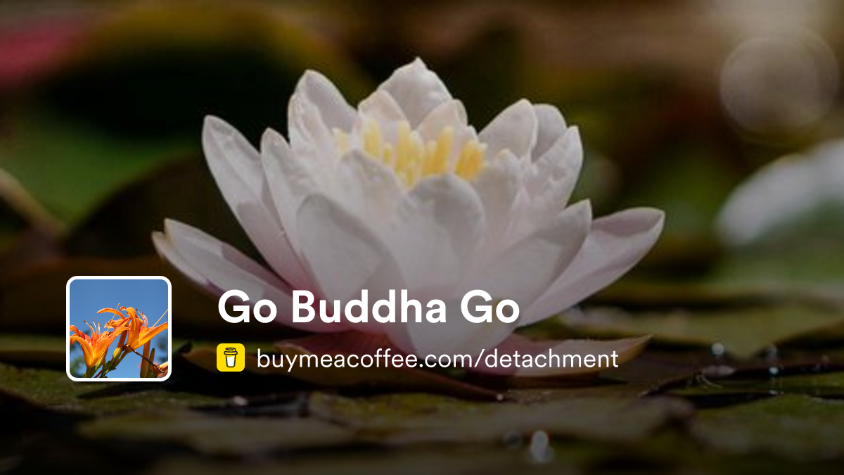 Go Buddha Go is Buddhism Video, Photo, Quotes, Websites - Buymeacoffee