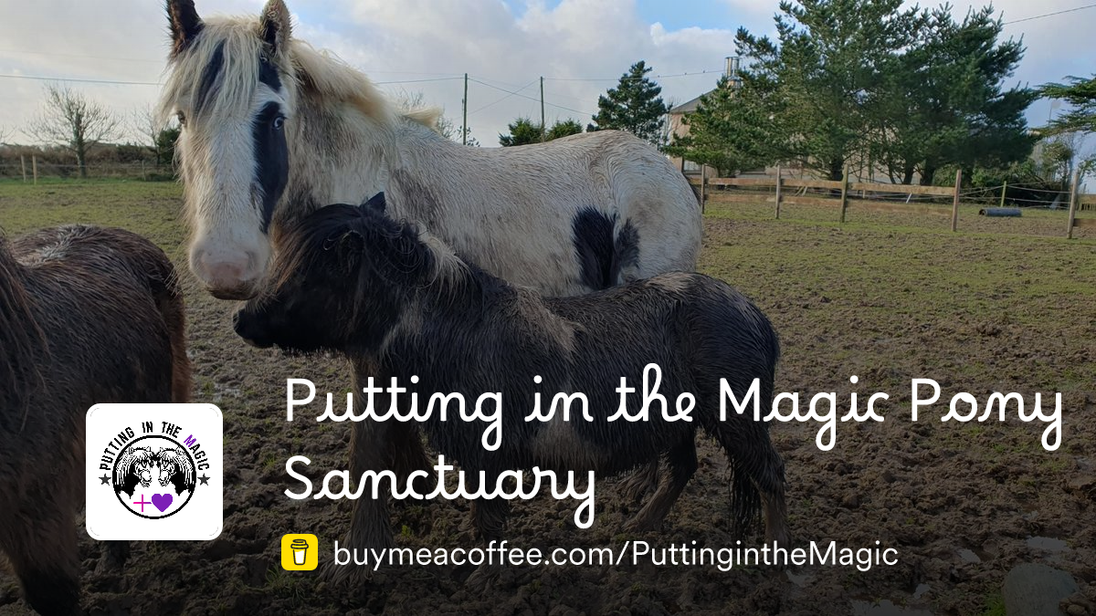 Putting in the Magic Pony Sanctuary - Buymeacoffee