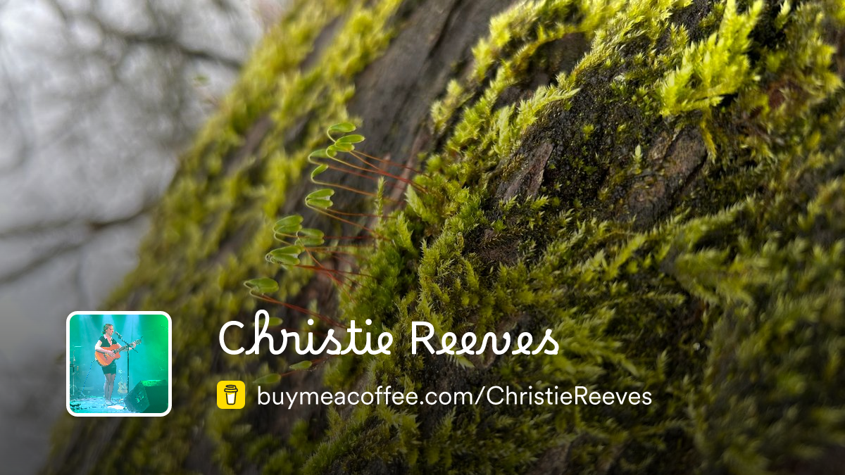 Christie Reeves is Covers of my most beloved songs - Buymeacoffee