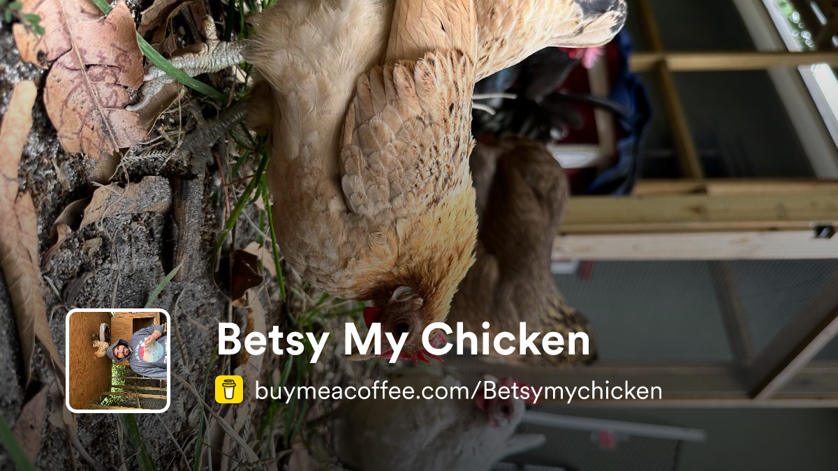 Betsy My Chicken - Buymeacoffee