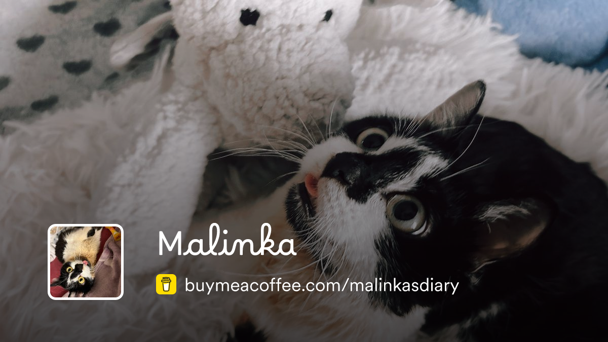 Malinka is I care for my cat Malinka, who has a neurodegenerative ...