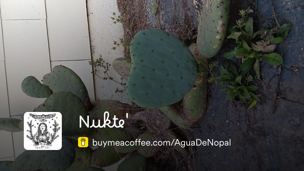 Nukte' is hand drawn screen prints, block prints & pine needle basket ...