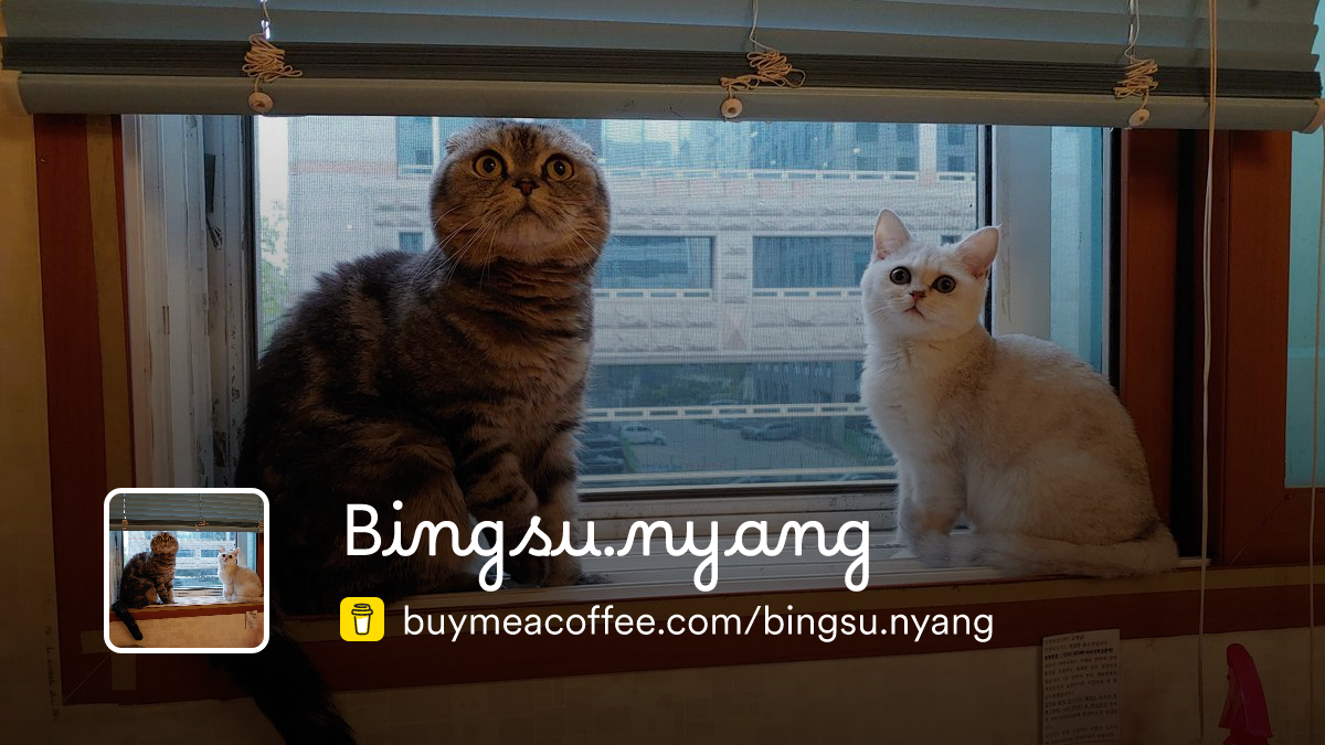 Bingsu.nyang is creating animations around Korea - Buymeacoffee