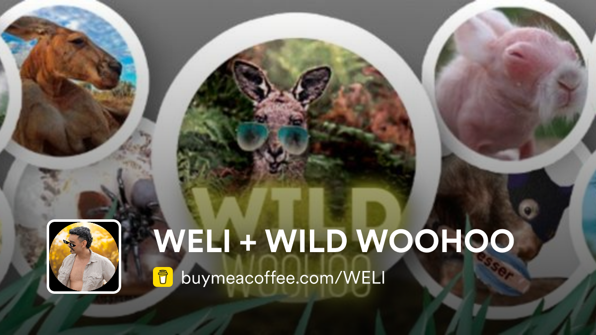 WELI + WILD WOOHOO is Original and Incredible - Buymeacoffee