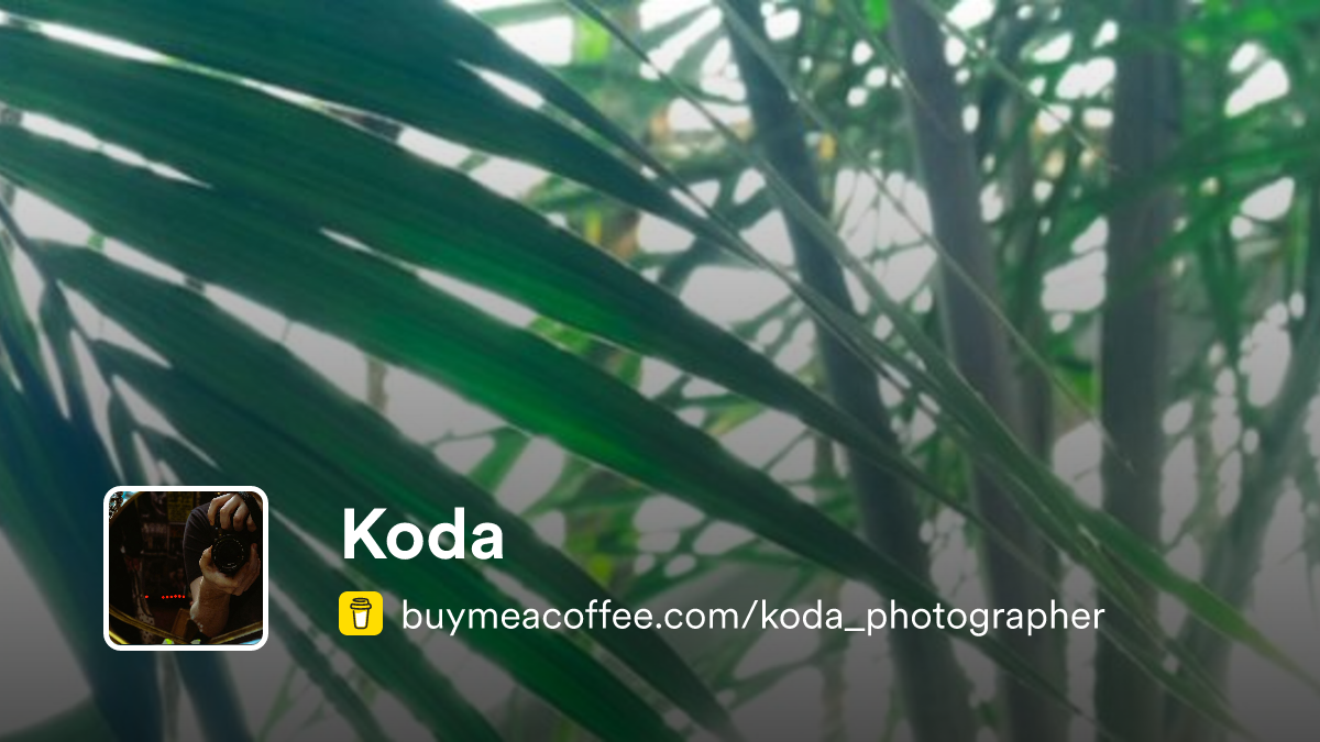 Koda is Weekly photography images over on my Insta. - Buymeacoffee