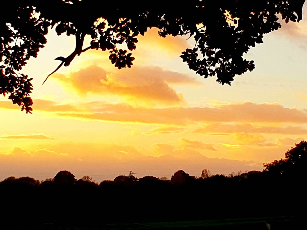 A poem for Gaz — Jane Murray - Buymeacoffee