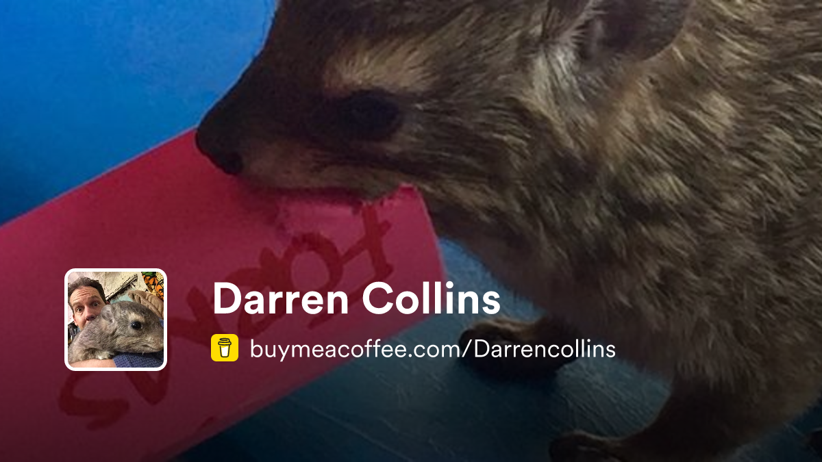 Darren Collins is I create content about Hyraxes in Kenya! - Buymeacoffee