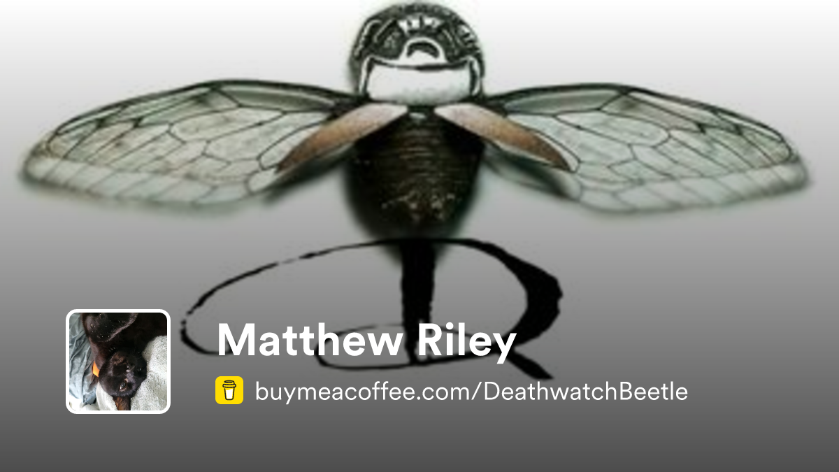 Matthew Riley - Buymeacoffee