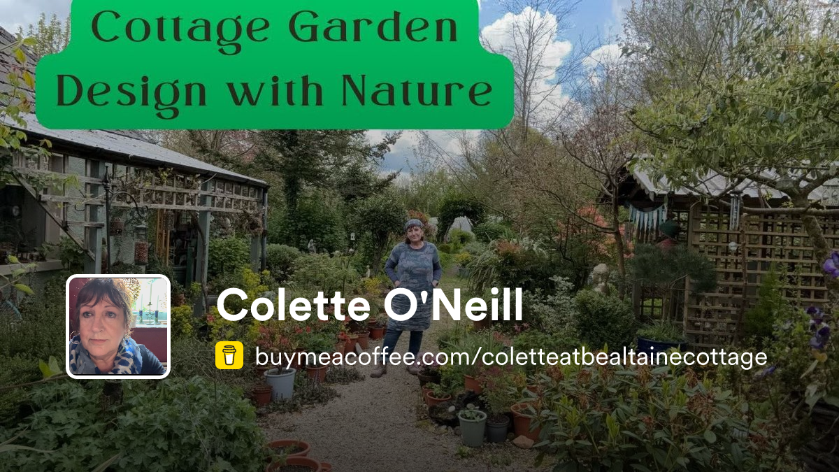 Colette O'Neill is Videos - Buymeacoffee