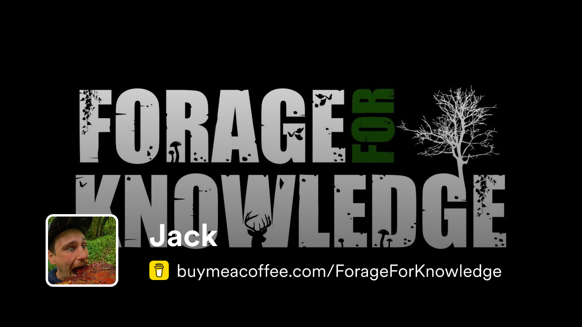 Membership | Jack - Buymeacoffee