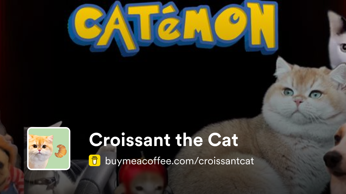 Croissant the Cat is ~CATéMON Season 2 in Progress~ - Buymeacoffee