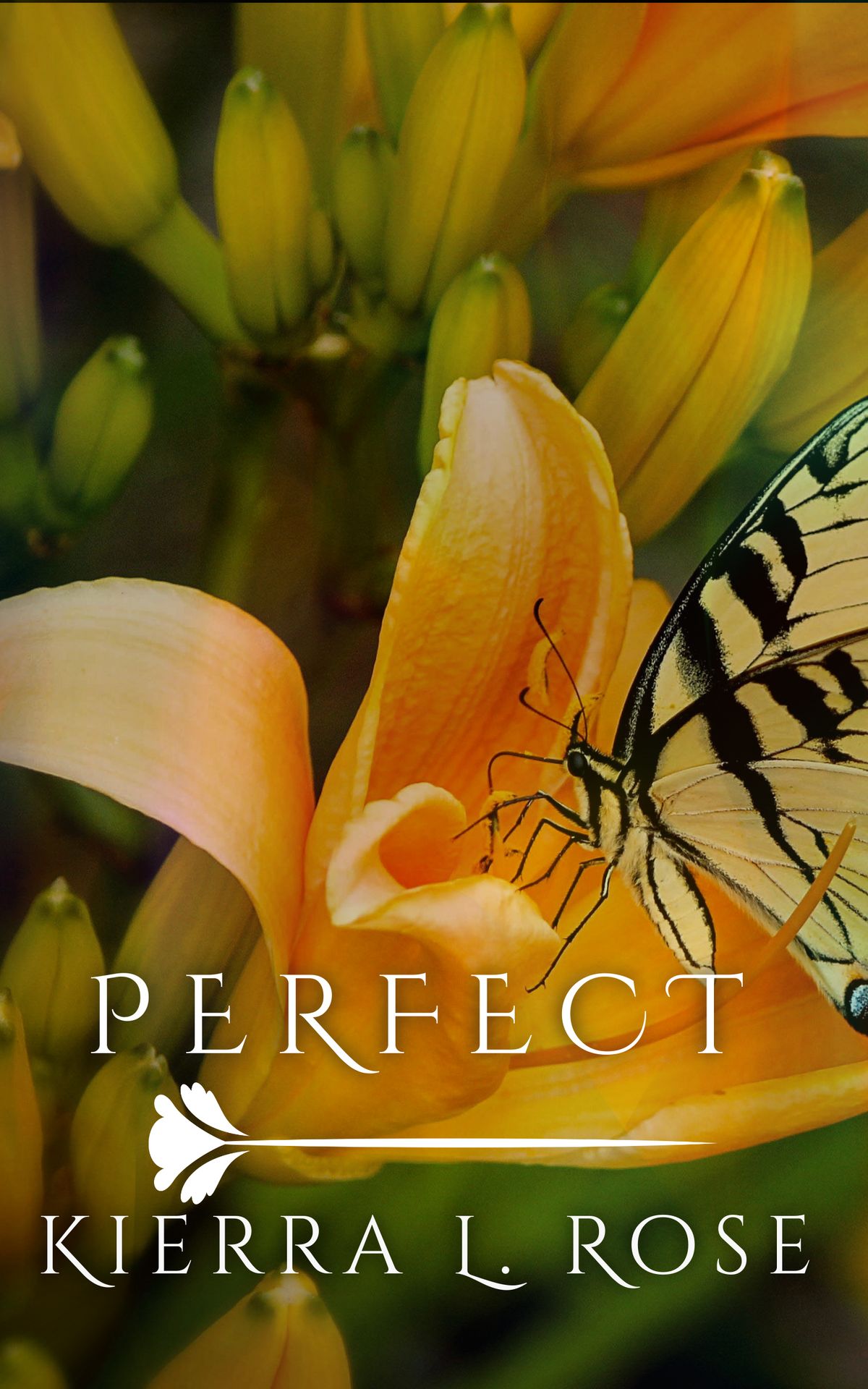 Perfect — Kierra L. Rose - Buymeacoffee