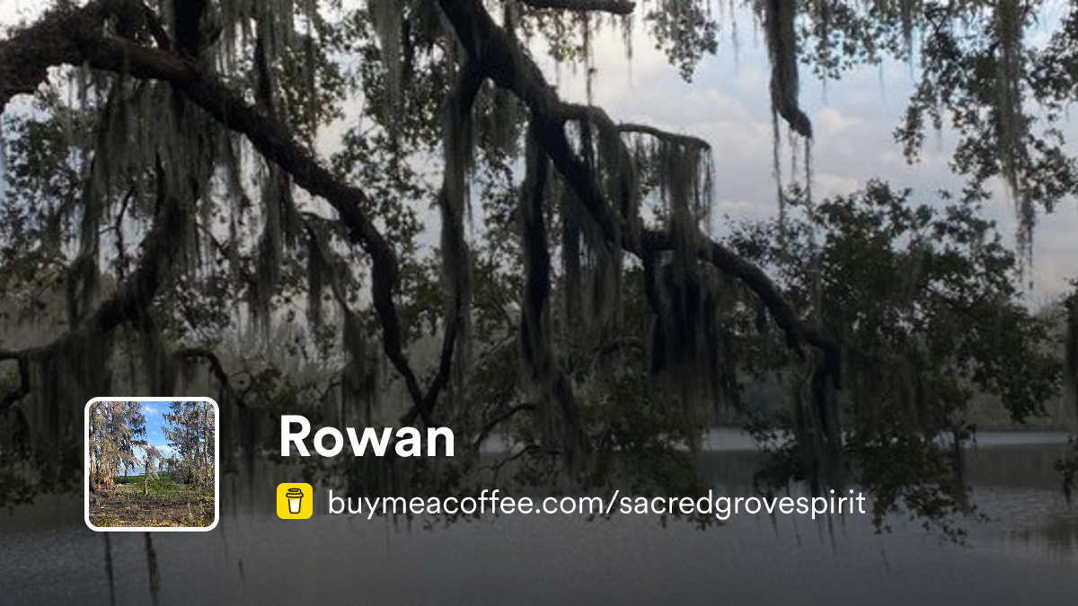 Rowan - Buymeacoffee