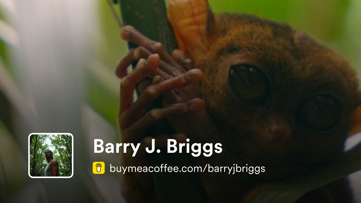 Barry J. Briggs - Buymeacoffee