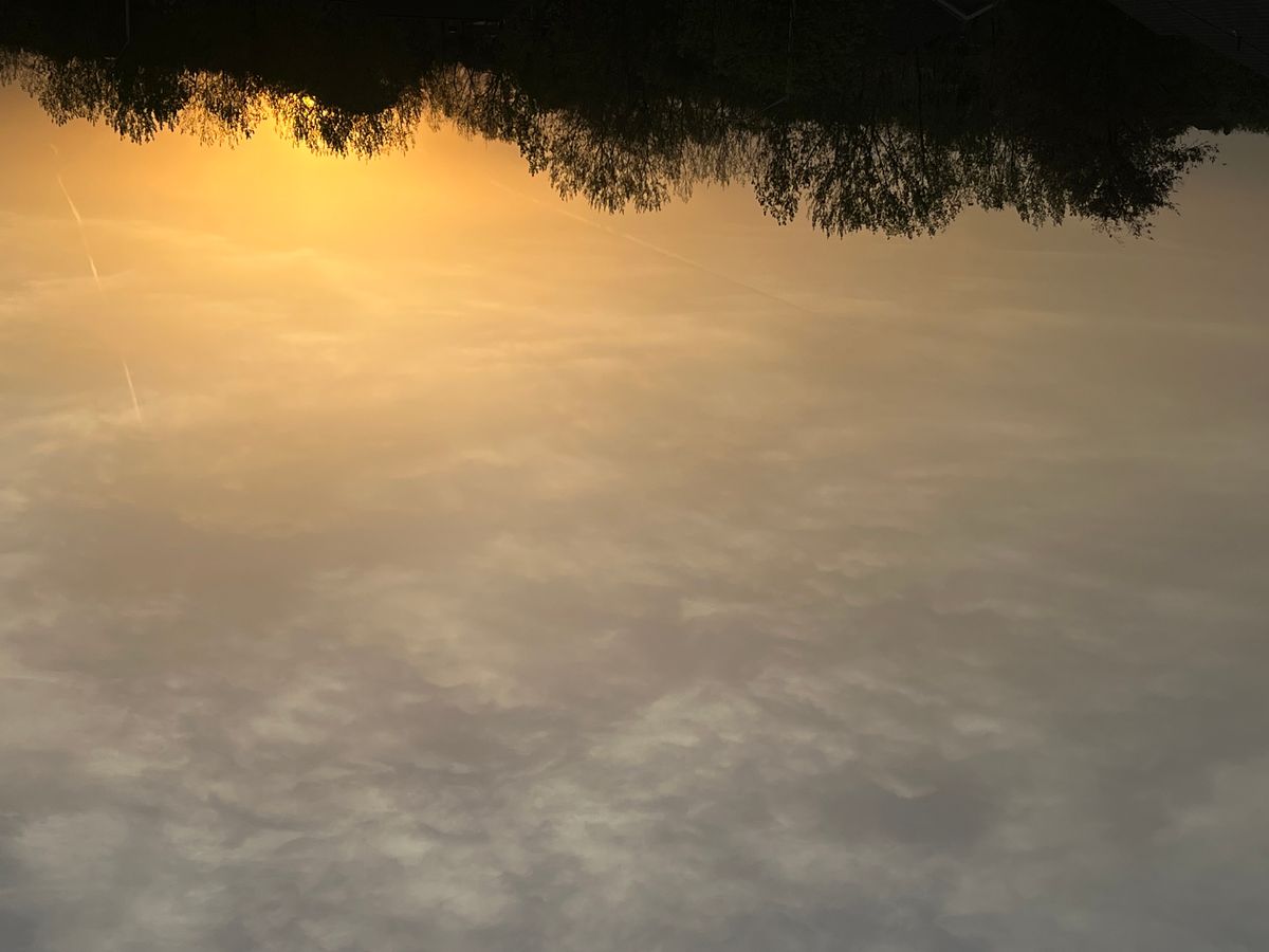 Golden Glow Photography Challenge: Capture the Beauty of Golden Light ...