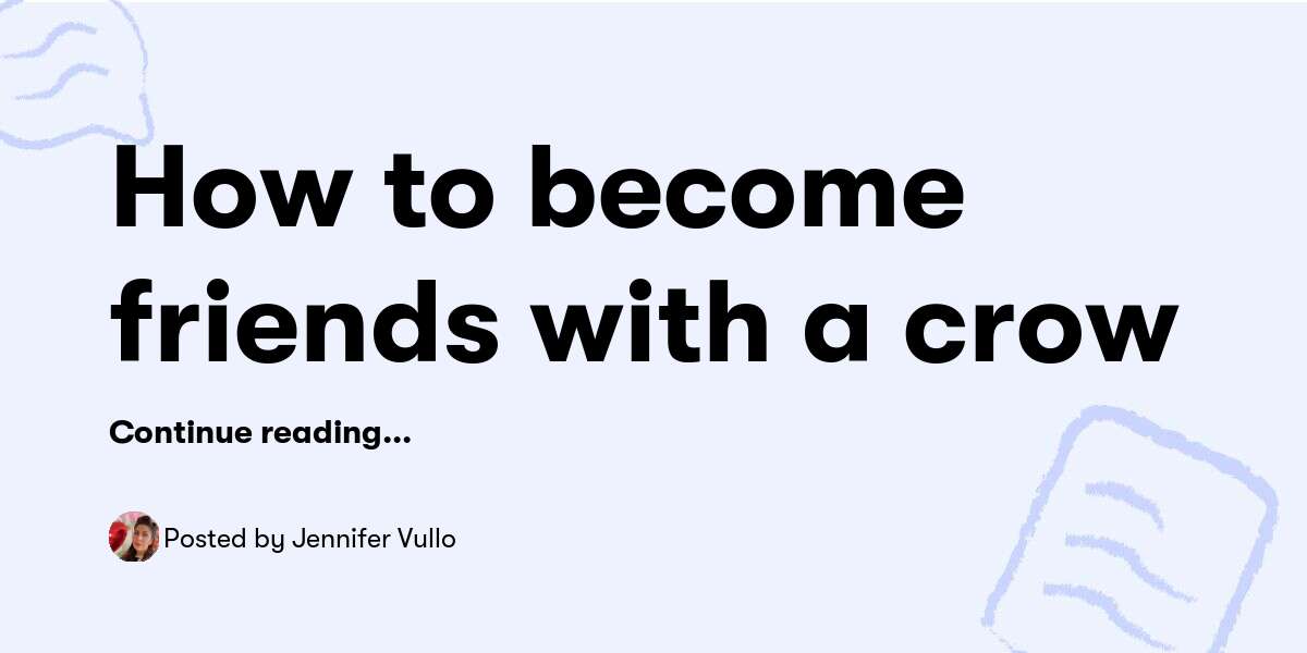How to become friends with a crow — Jennifer Vullo - Buymeacoffee